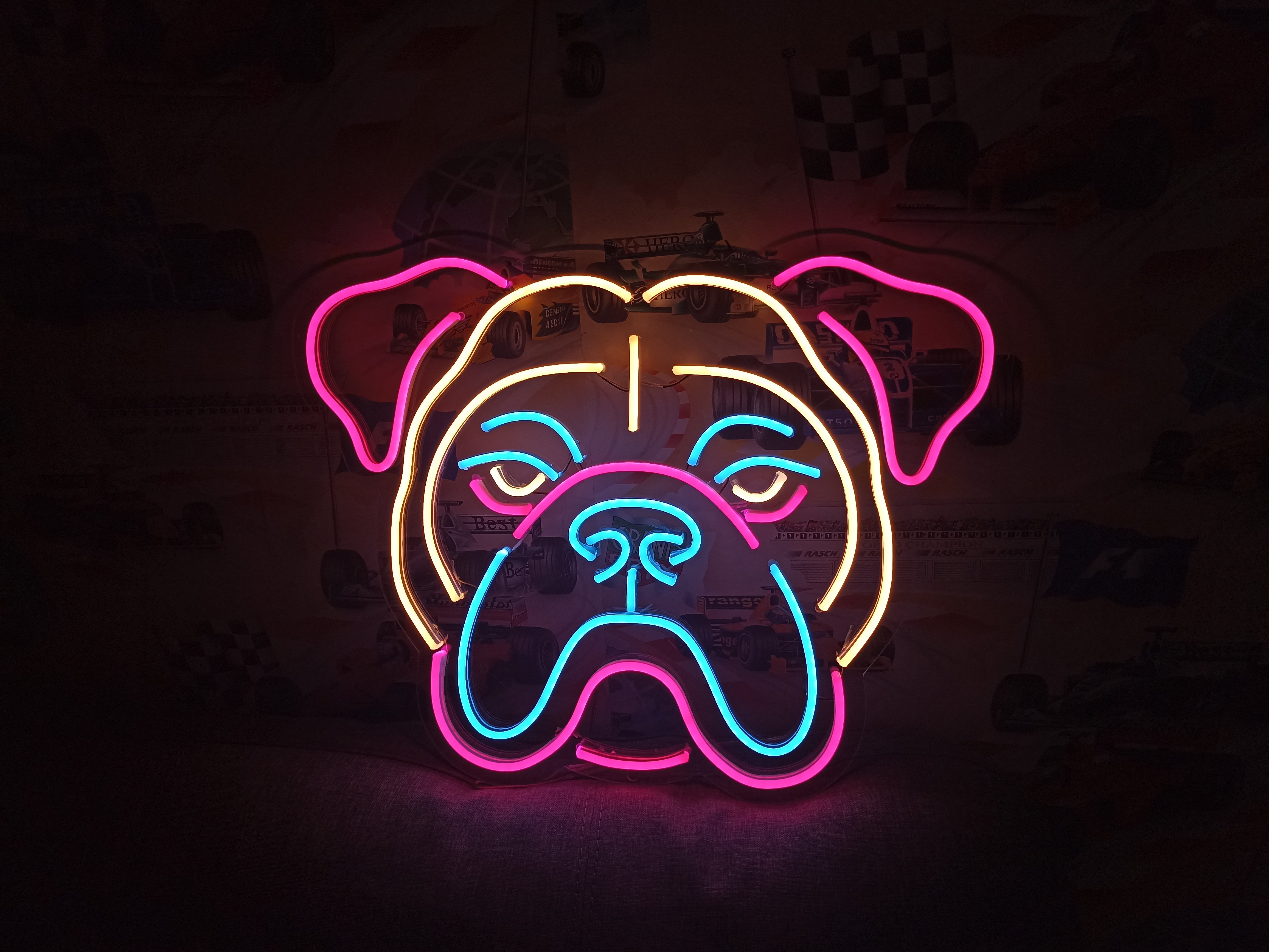 Neon bulldog sign, Custom neon sign bulldog, Bulldog neon light – Ooh neon
