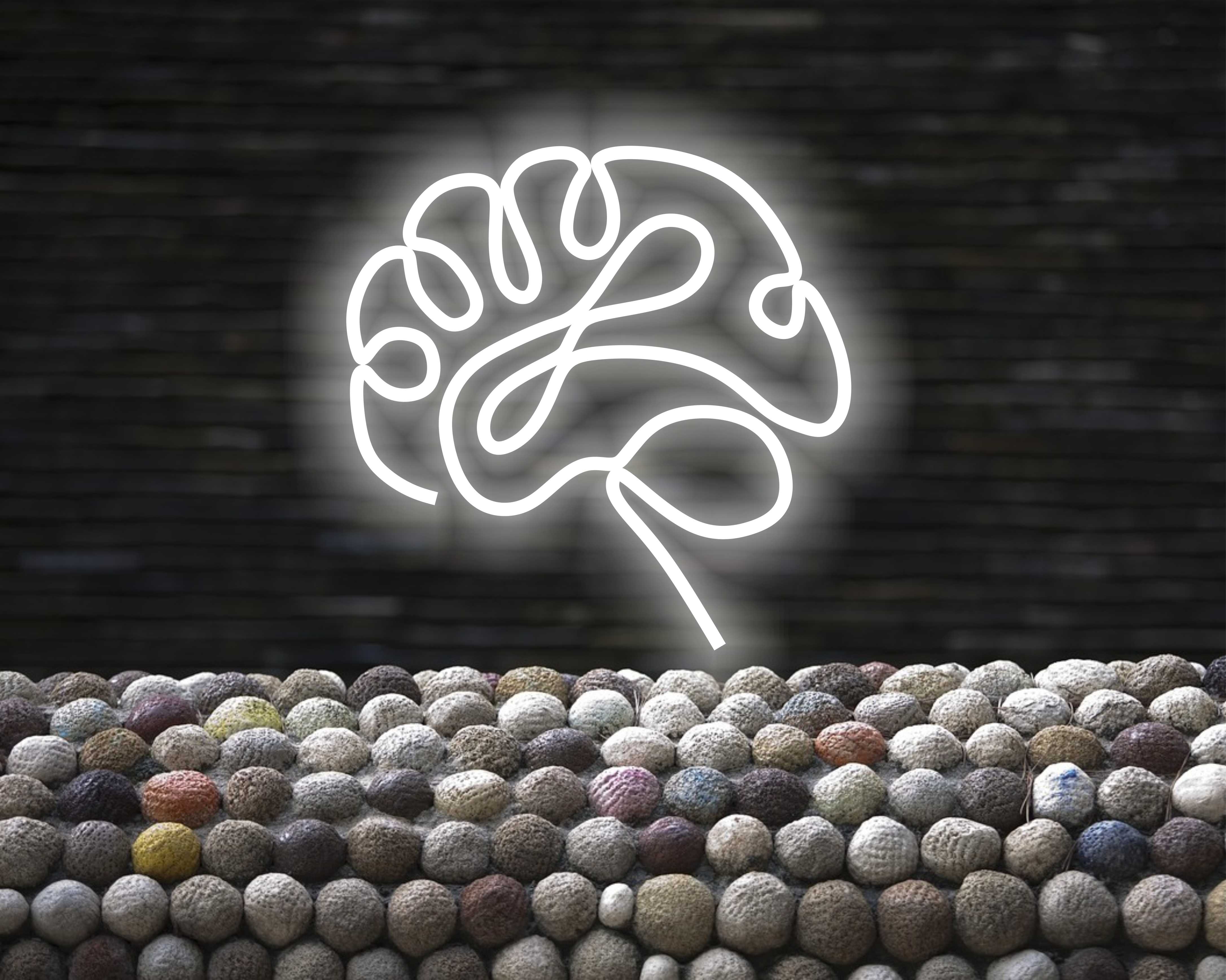 Human Brain Neon sign, Neon Brain Light, Neon sign human Brain – Ooh neon